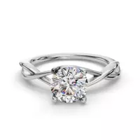 Bianca Twist Engagement Ring - Platinum
