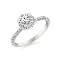 Elliott Diamond Halo Engagement Ring - Platinum